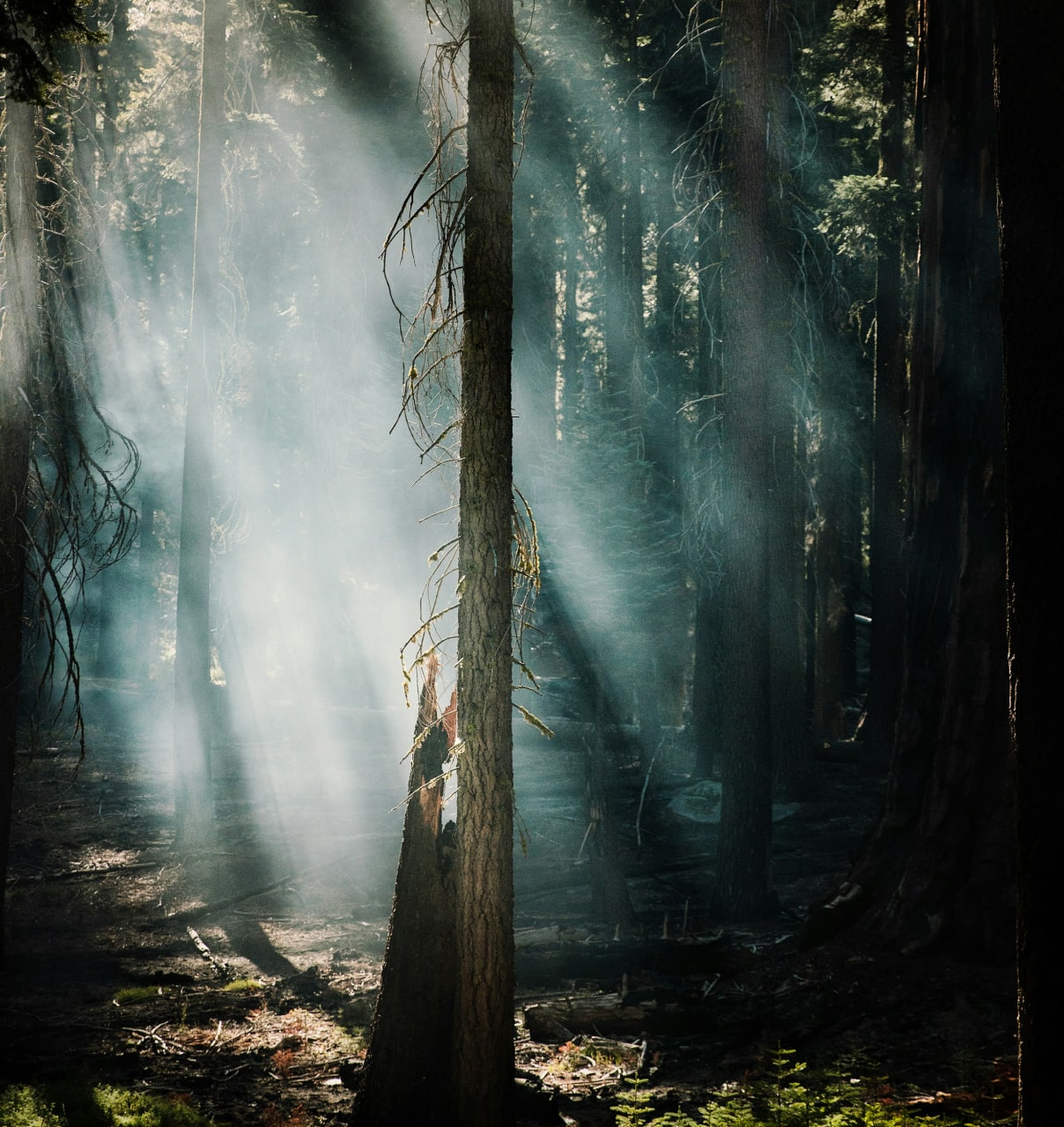 Detox Retreats | April 2026 - Anti-Inflammatory + Allergy Season - OmAway