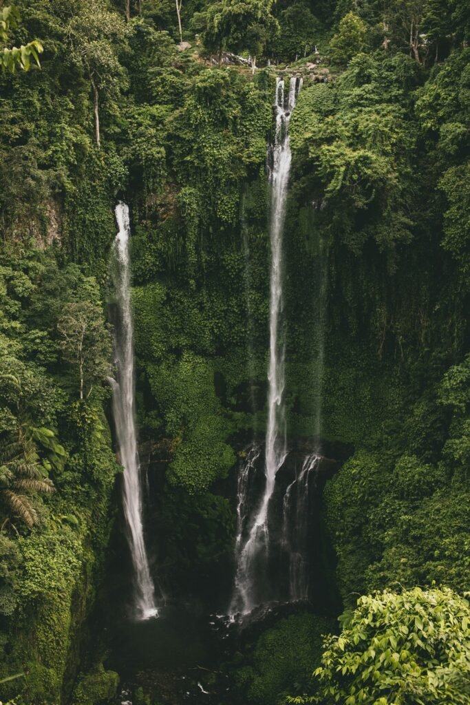 Yoga Retreats in Bali in December 2026